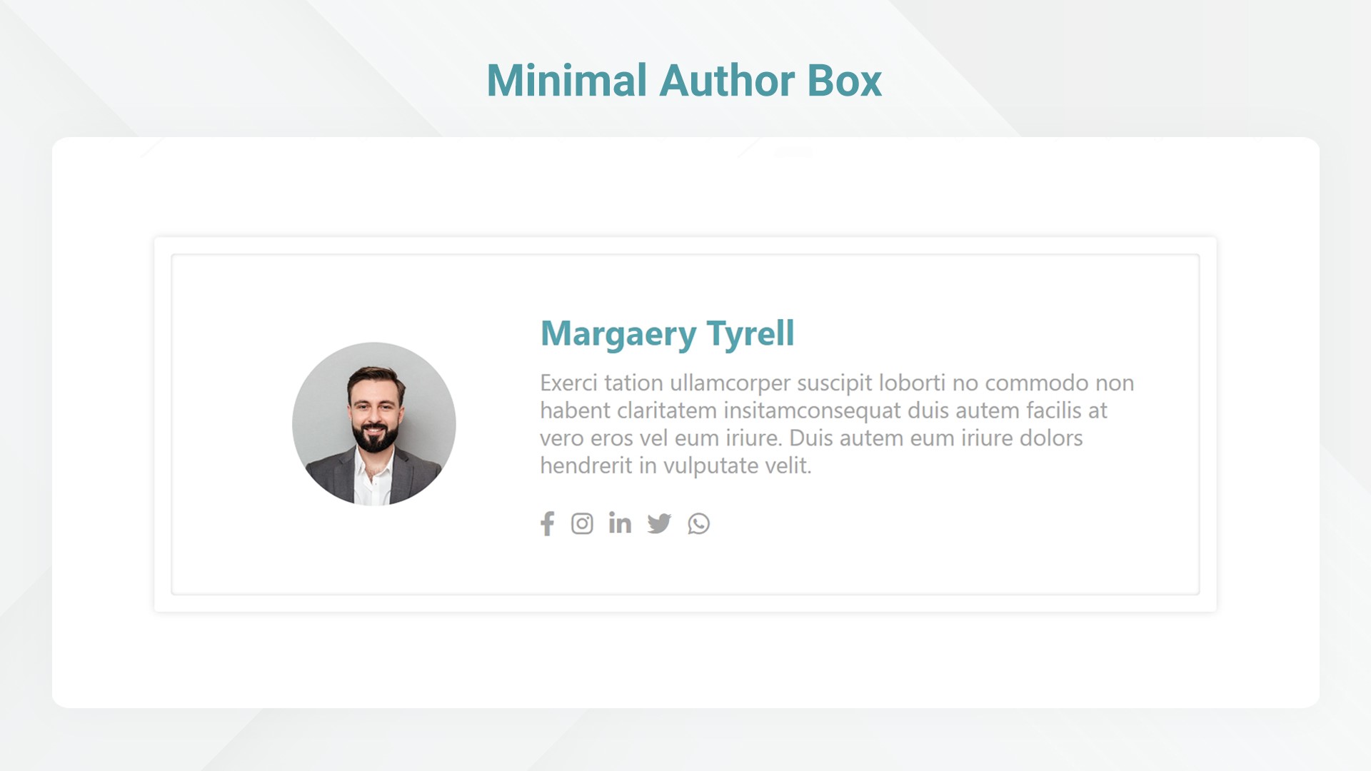 Minimal Author Box Section Style 03 - kitsWind